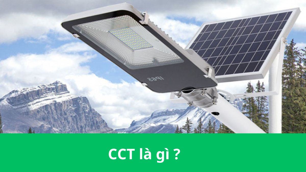 CCT Là Gì ? Tầm Quan Trọng Của Thông Số CCT Trong đời Sống