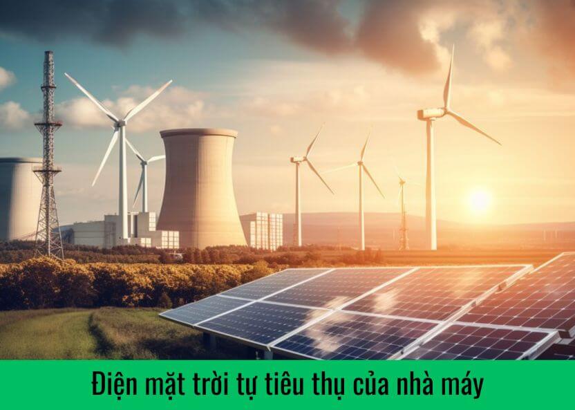 Tìm hiểu về lợi ích của điện mặt trời tự tiêu thụ của nhà máy 10/2025